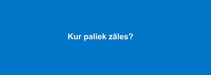 Ingus Pērkons - Researchslam